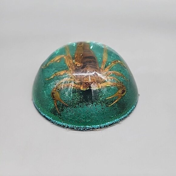 Accents | Vintage Taxidermy Scorpion Insect Paperweight 4 Lucite | Poshmark
